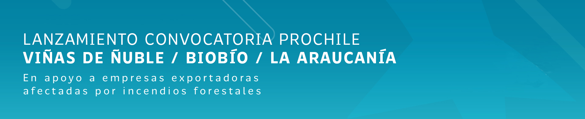 Lanzamiento convocatoria ProChile