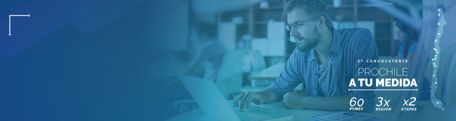 ProChile » Programa: “ProChile a Tu Medida”