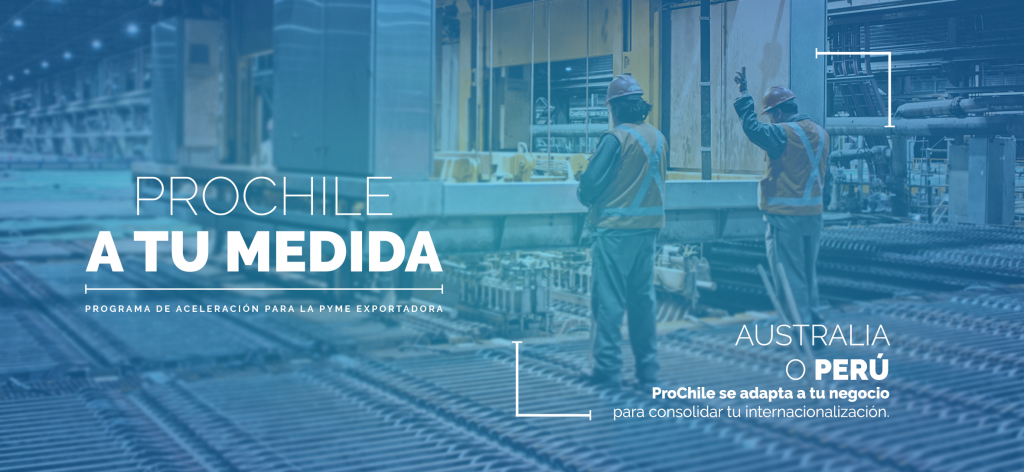 ProChile » ProChile a Tu Medida